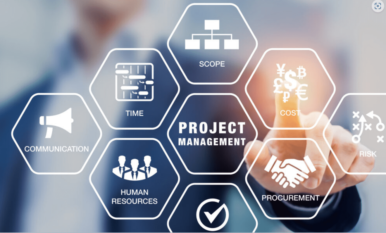 Mastering the Art of Project Management: Potential of Your Team - StatusNeo