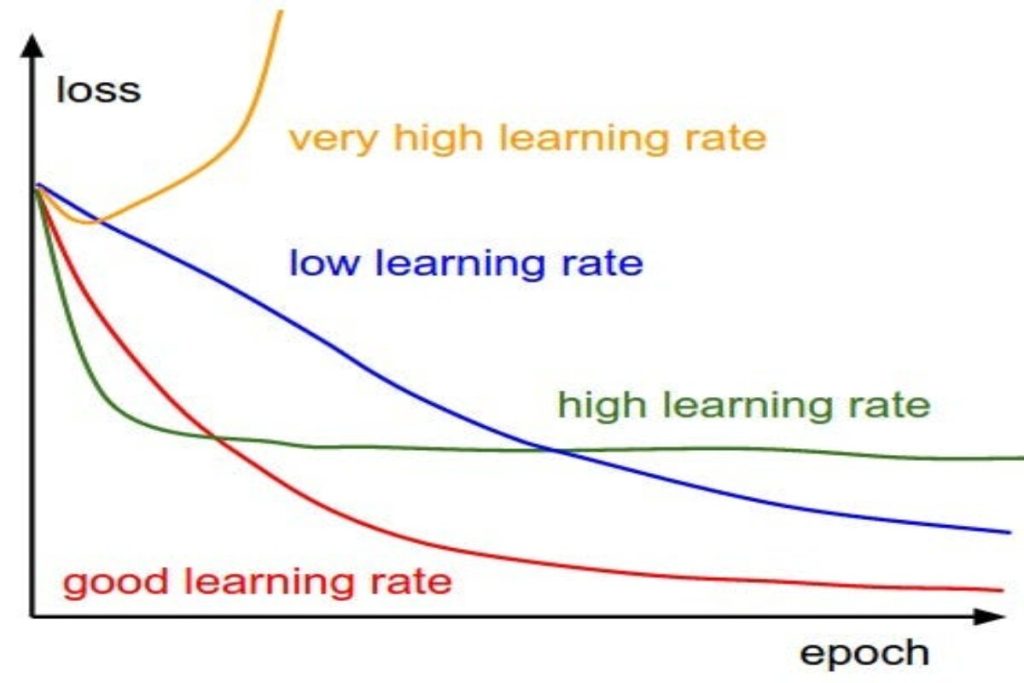 Mastering Optimization: Dynamic Learning Rates Unveiled