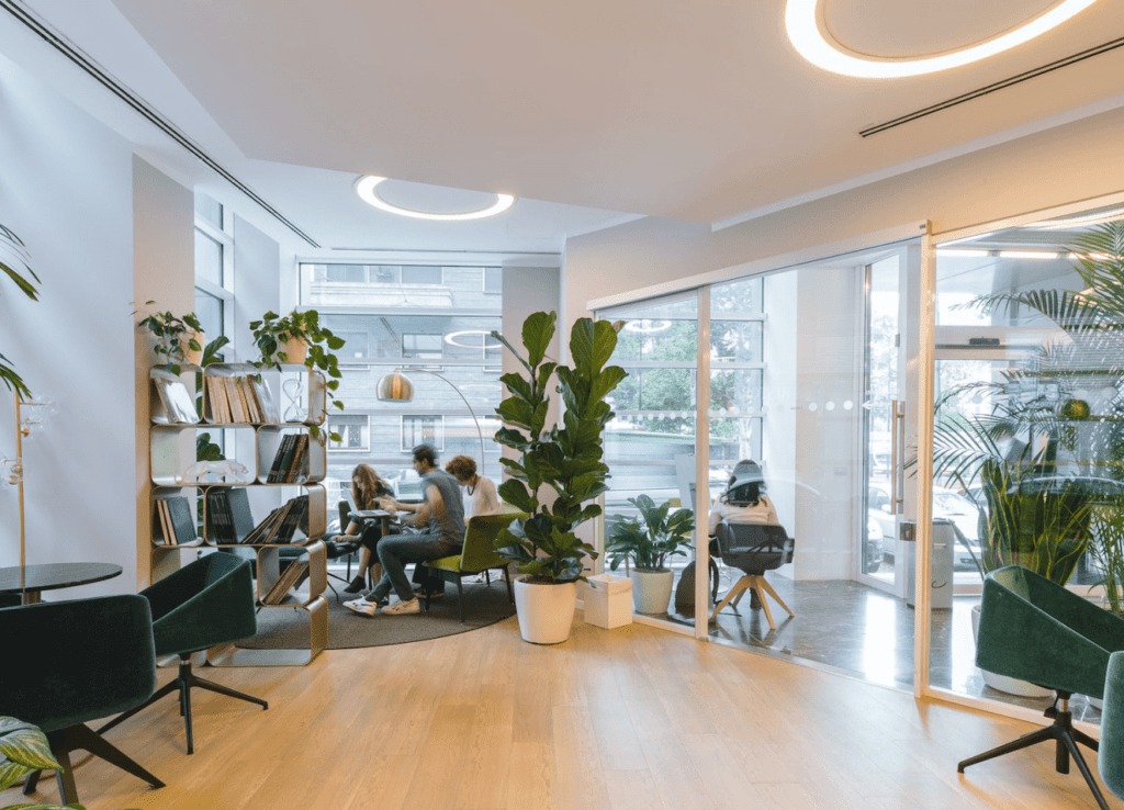 Physical Experience - StatusNeo